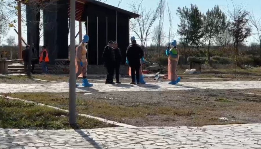 Murtaja afrikane e derrave/ Karantinohet zona e Ishull Lezhës ...