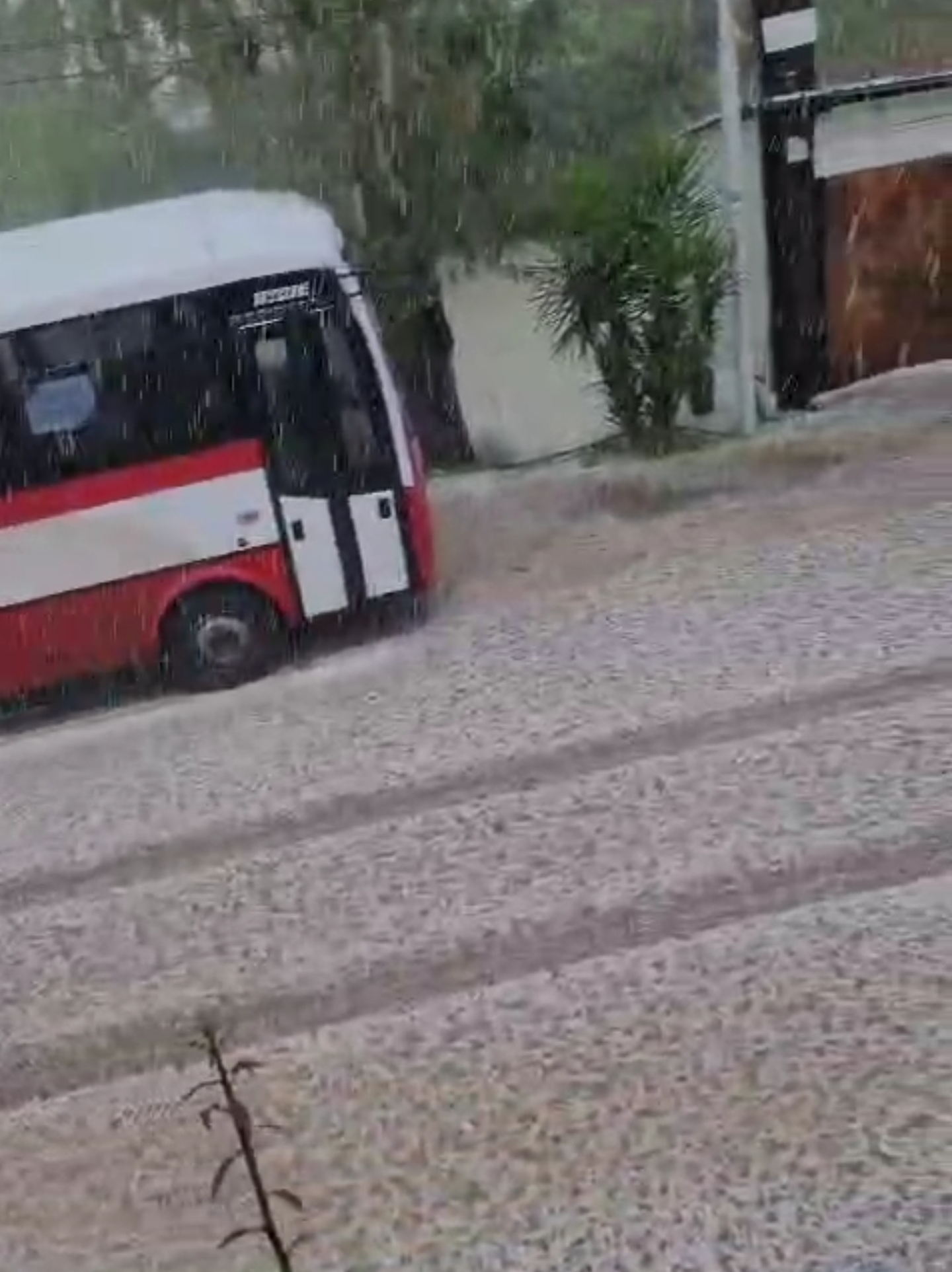 Breshër i pazakontë godet Frakullën, fermerët u frikësohen dëmeve ...