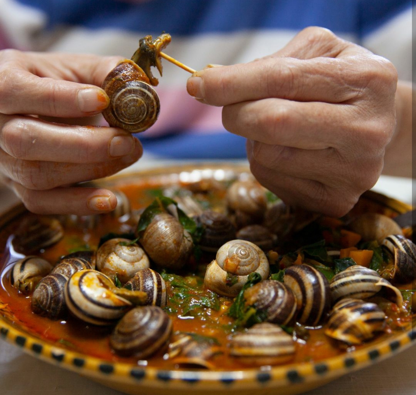 Tunizi, kërmijtë po zëvendësojnë mishin, sepse janë burim proteinash më ...