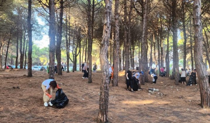 Pylli i Sodës pastrohet me “aksion”, vullnetarëve i bashkohen ...