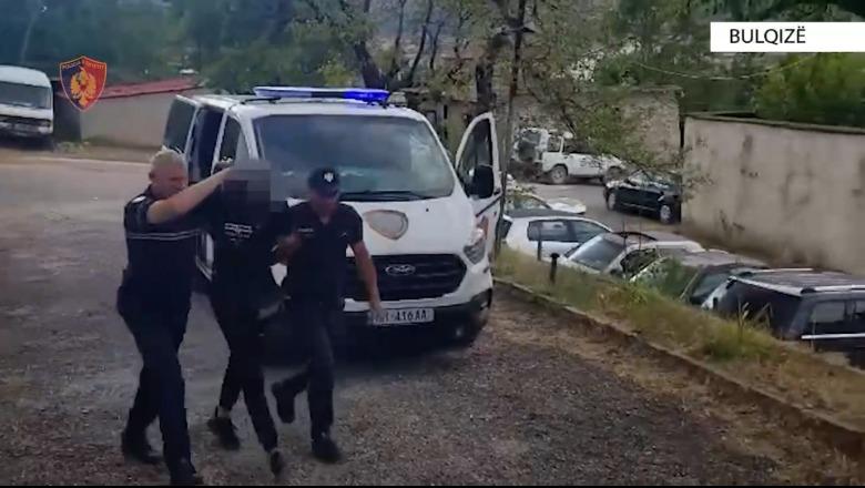 Qarkullonte me armë e municion luftarak, në pranga 20-vjeçari në ...