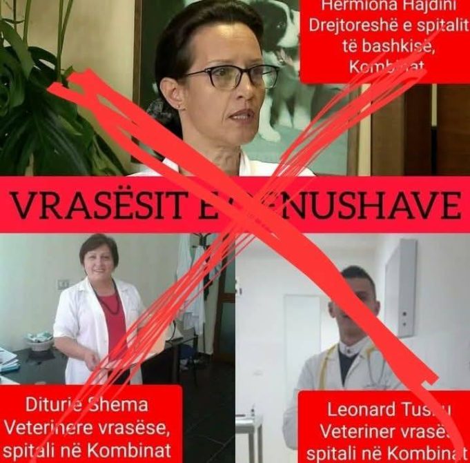 Akuza për helmimin e kafshëve në Tiranë/ Reagon Bashkia: “Kemi nisur ...